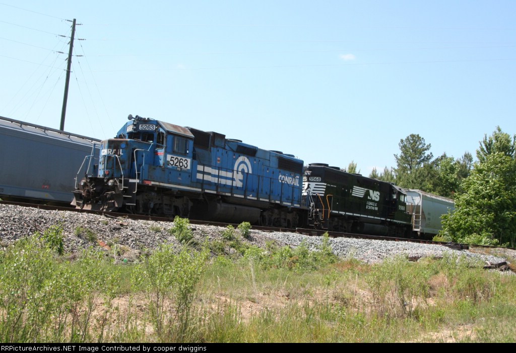 Asheboro local tied down